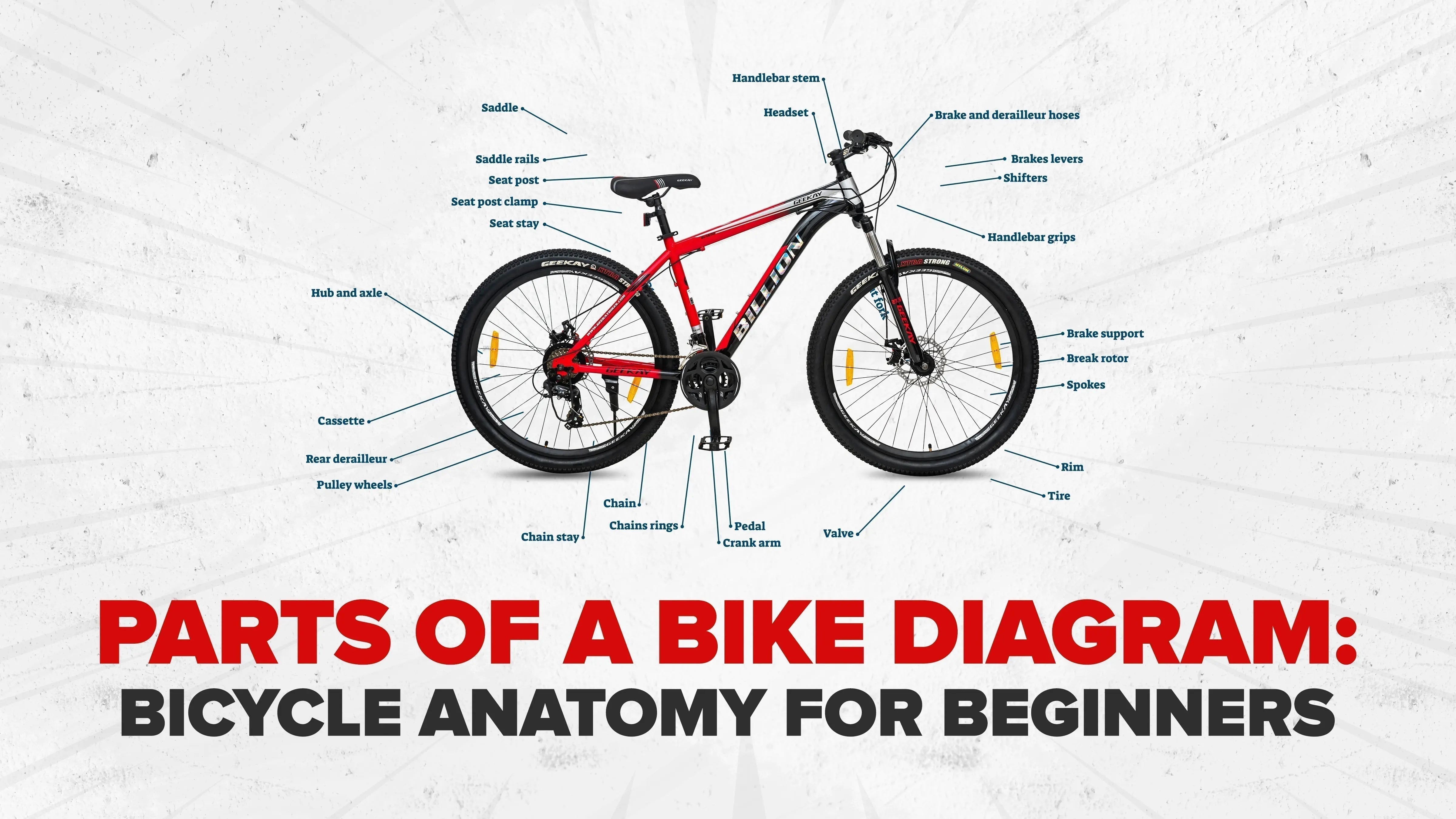 Bicycle Parts Diagram: Complete Bike Anatomy for Beginners