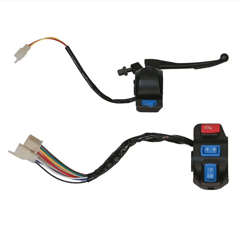 E Rickshaw LR Switch